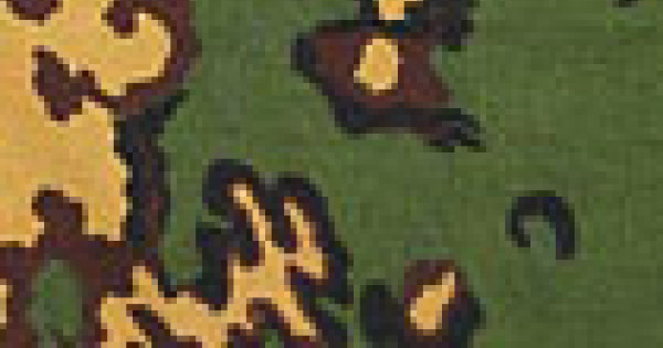 Frog / Partizan camo uniforms