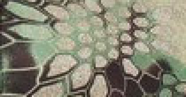 Équipement de camouflage Python