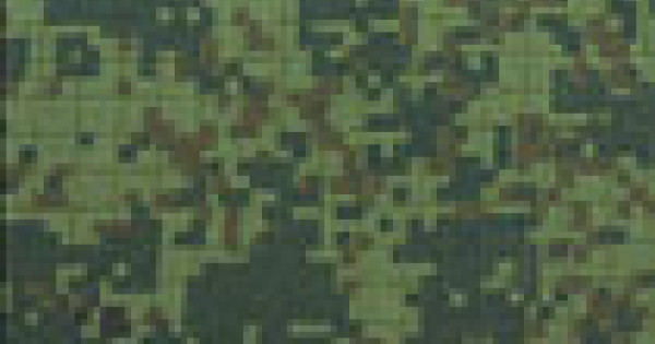 Digital EMR (Pixel) camouflage gear
